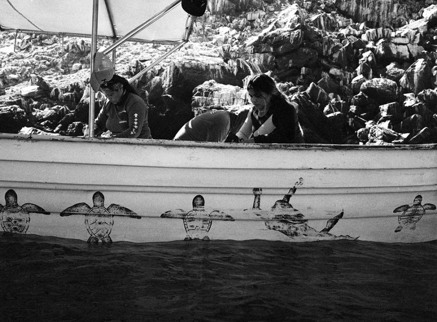 EXIBIÇÃO DO DOCUMENTÁRIO "EL LLANTO DE LAS TORTUGAS" , COM A PRESENÇA ...