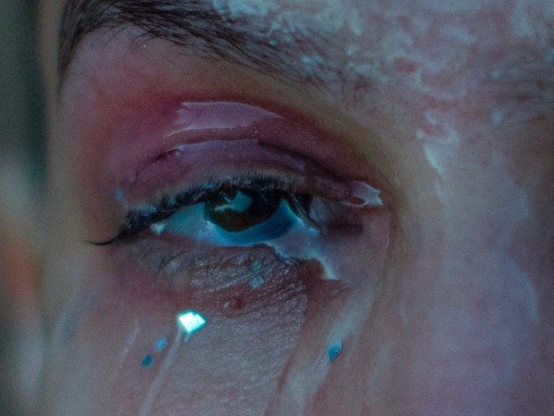 PEDRA DURA | CRYING CYCLE 2, de Daniel Matos & João Catarino - Viral Agenda