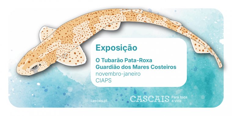 Exposição "O Tubarão Pata-Roxa, Guardião dos Mares Costeiros" - Viral ...