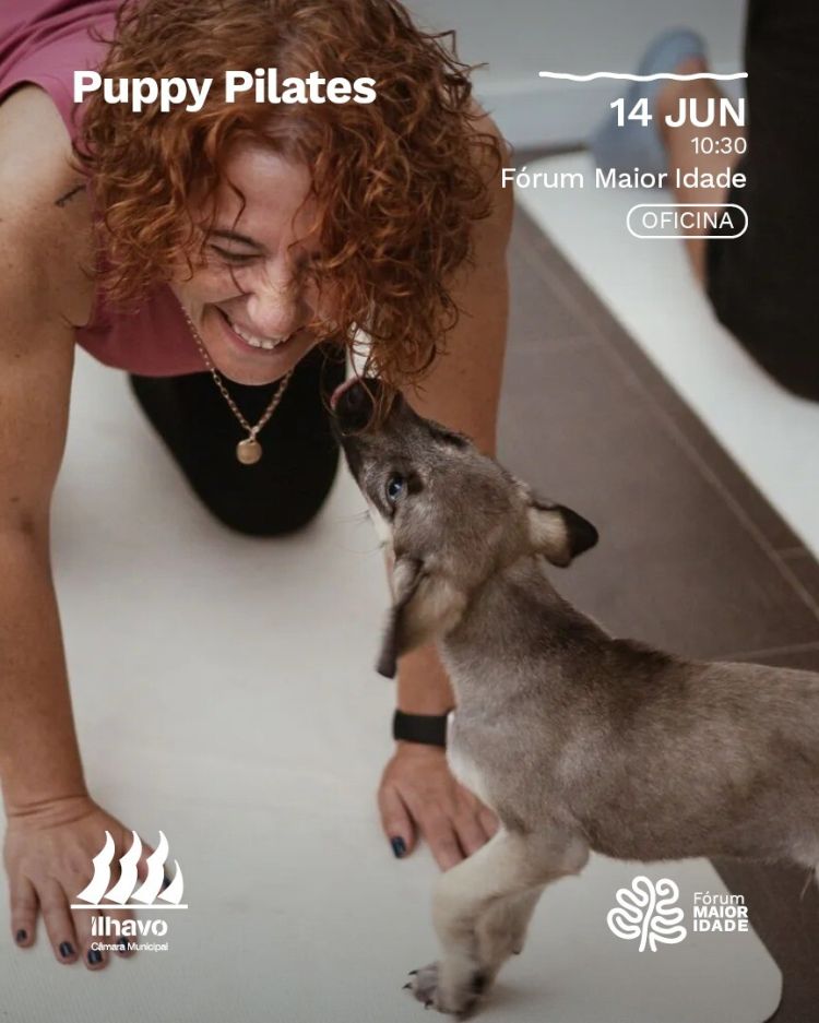Puppy Pilates - Viral Agenda