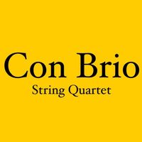 Con Brio String Quartet - GAM Cultural
